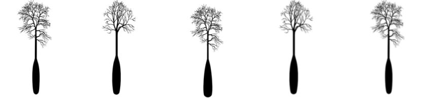 Forest Edition Canoe Paddles - Badger Paddles