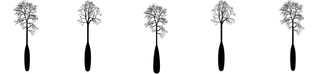 Forest Edition Canoe Paddles - Badger Paddles